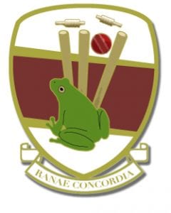 What does the badge say about your cricket club?