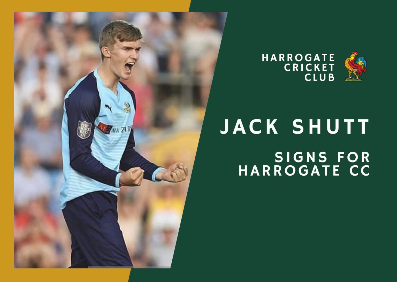 Yorkshire Premier League North - Transfer News